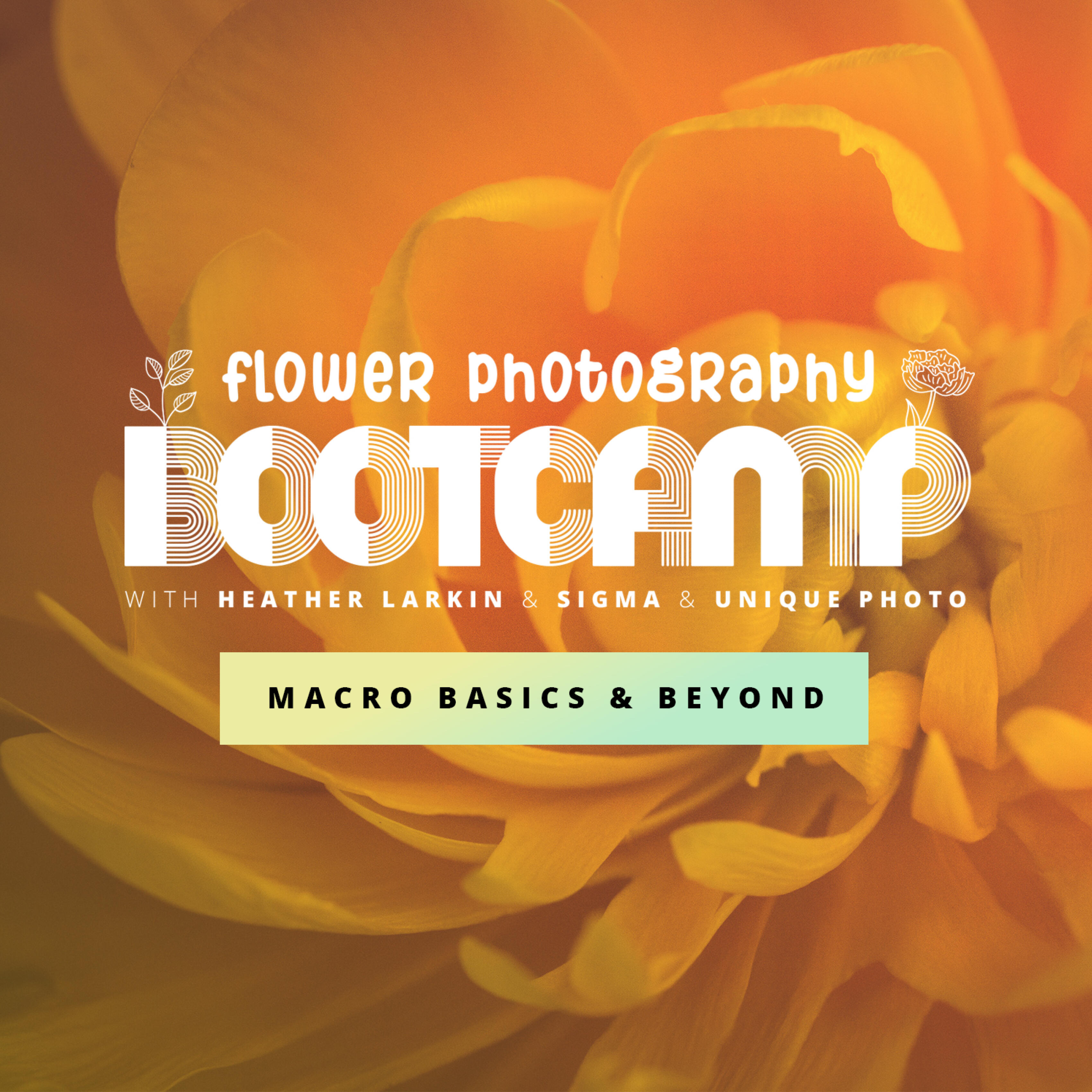 Flower Photography Bootcamp: Macro and Beyond with Heather Larkin (Philly)