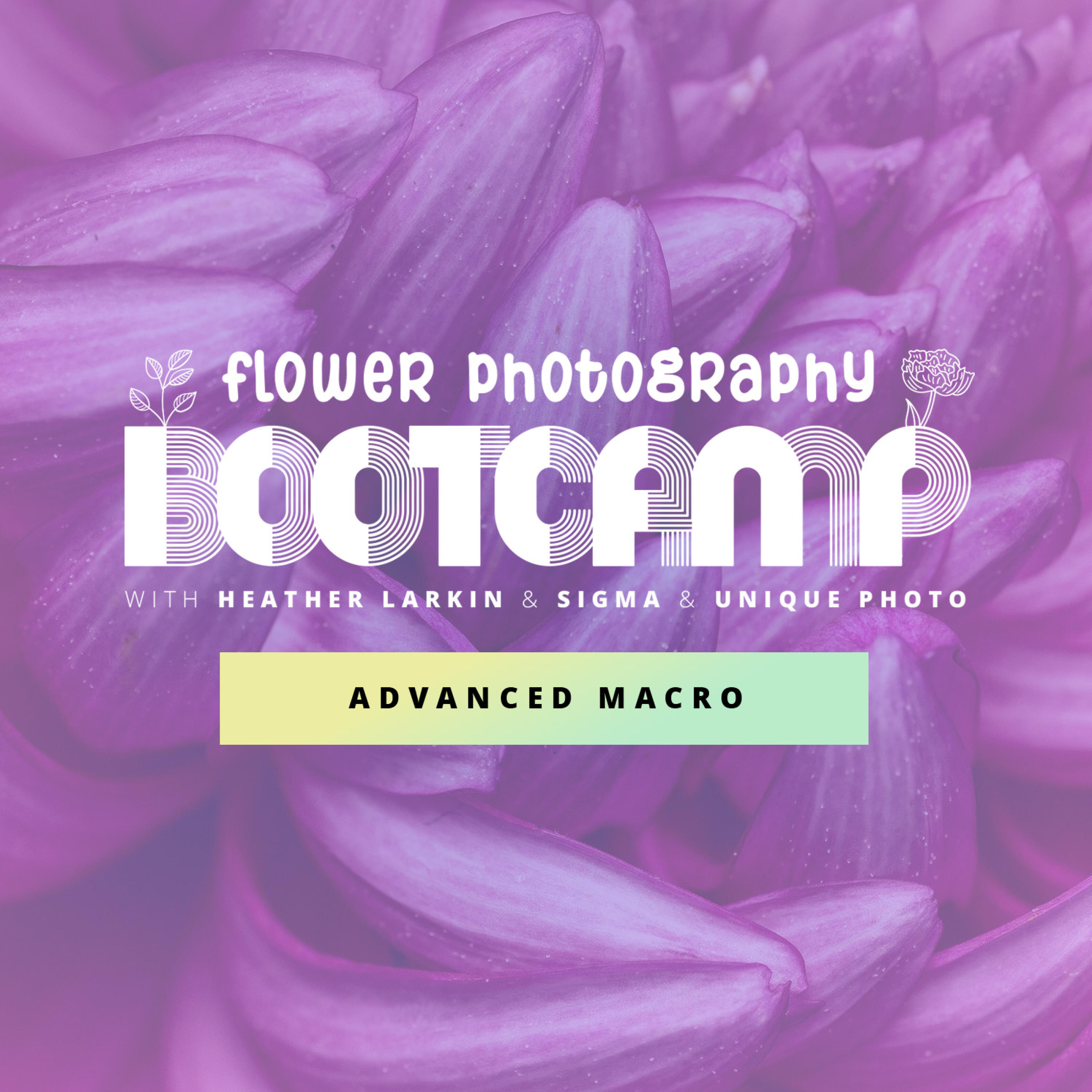 Flower Photography Bootcamp: Advanced Macro with Heather Larkin (Philly)