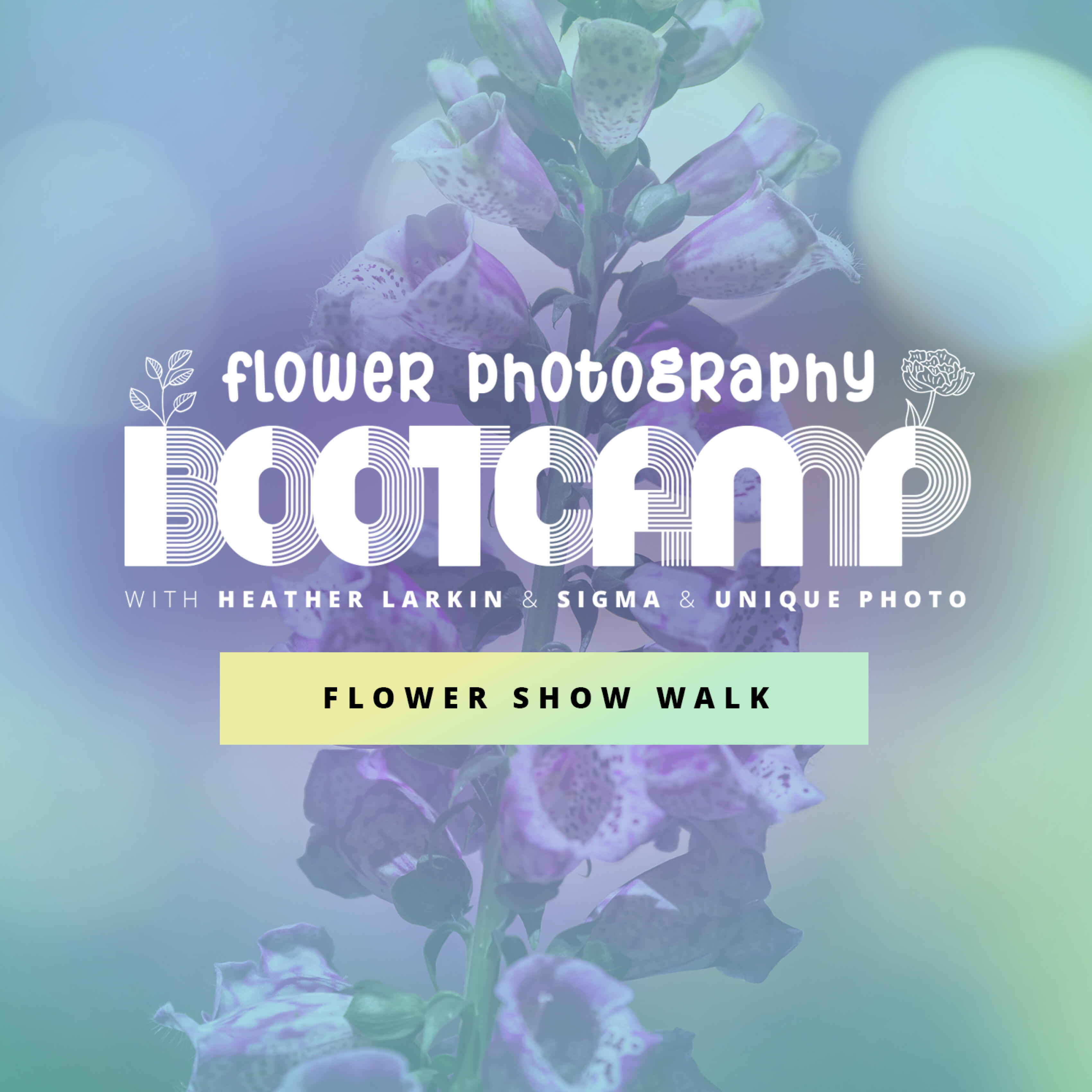 Flower Photography Bootcamp: Flower Show Walk with Heather Larkin (Philly)